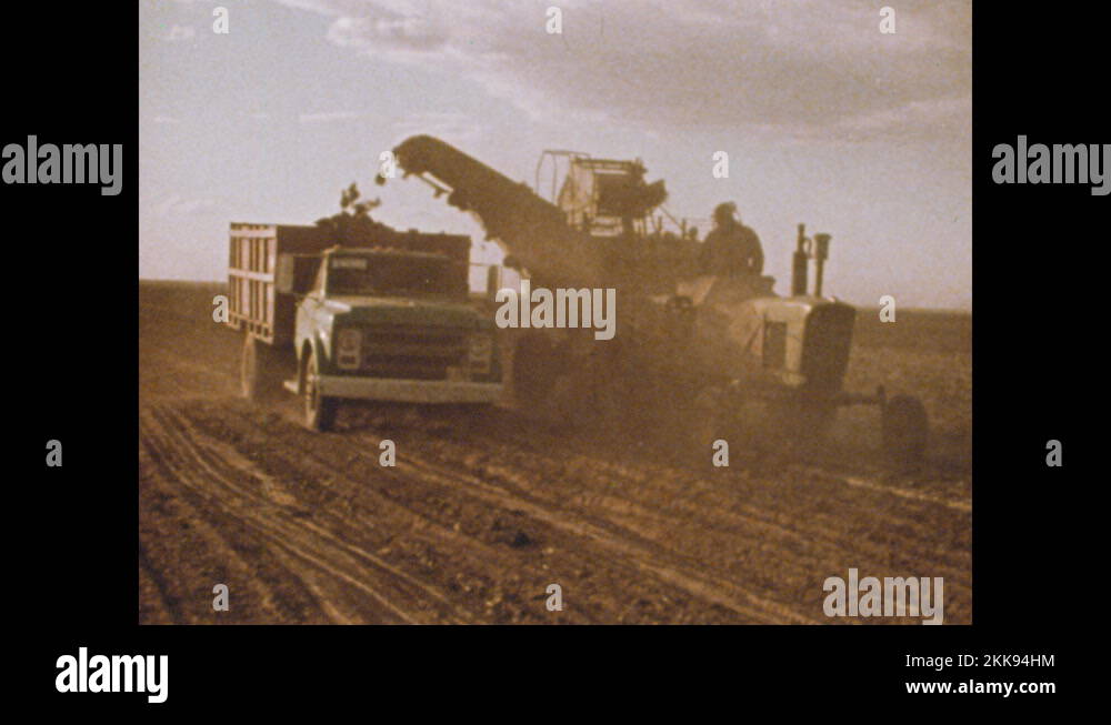 Loading crops on truck Stock Videos & Footage - HD and 4K Video Clips ...