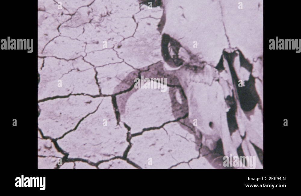 Cracked skull Stock Videos & Footage - HD and 4K Video Clips - Alamy