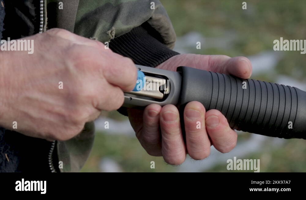Loading shotgun bullets in gun close up hunting. Man loading shells ...