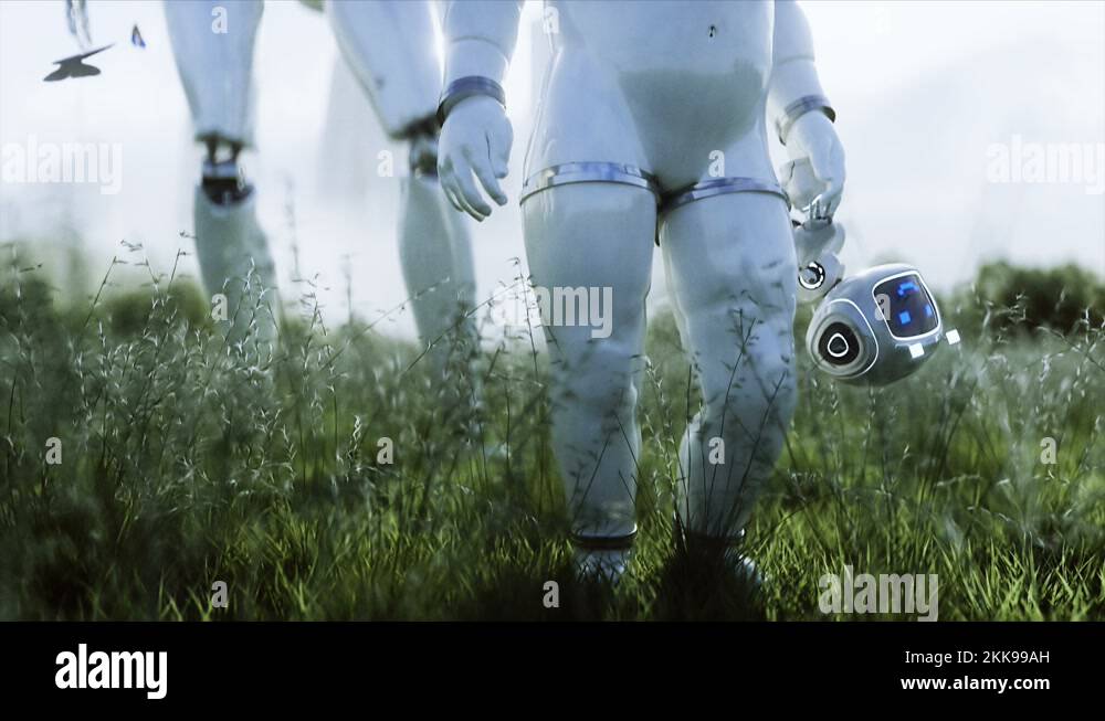 mother robot with her baby robot in the meadow on the background of a ...