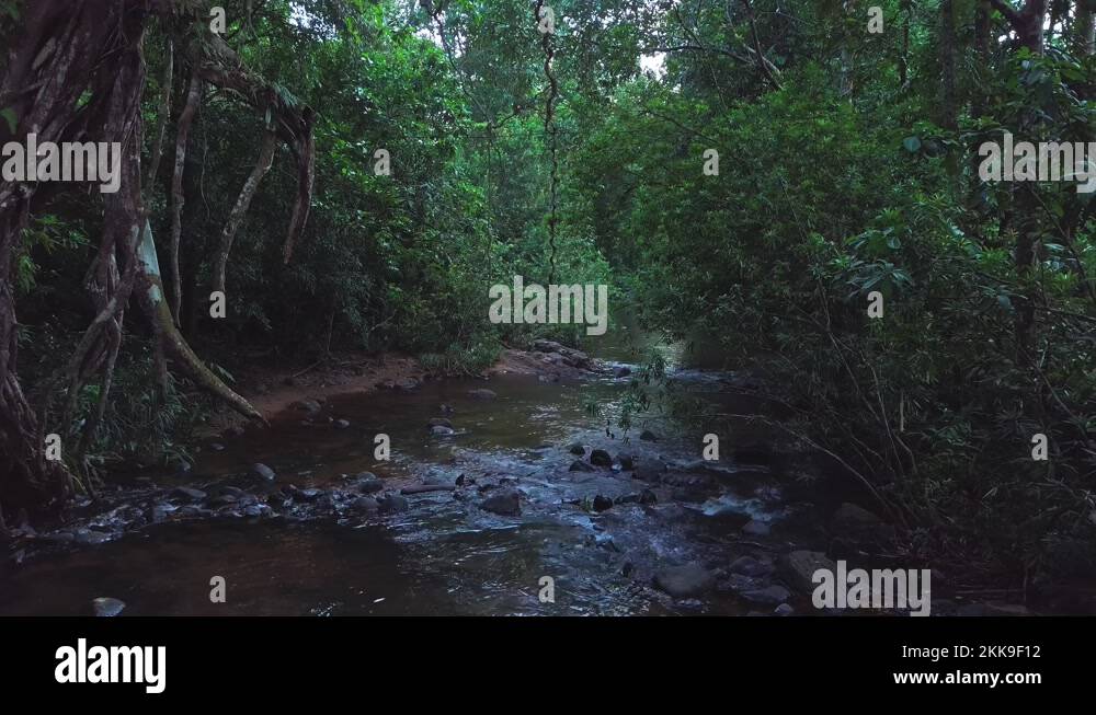 Water stream flowing tropical rain Stock Videos & Footage - HD and 4K ...