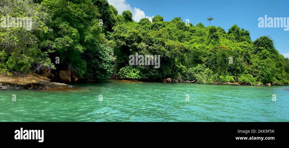 Scenic Nature View of Chek Jawa Wetlands from the Coastal Boardwalk in ...