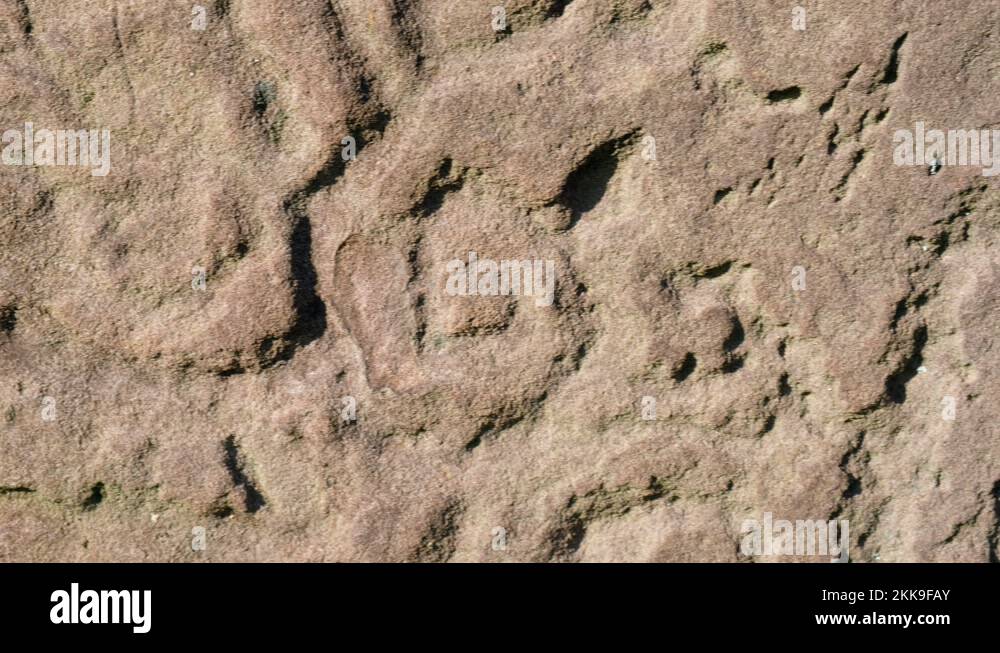 Petroglyphs stone Stock Videos & Footage - HD and 4K Video Clips - Alamy