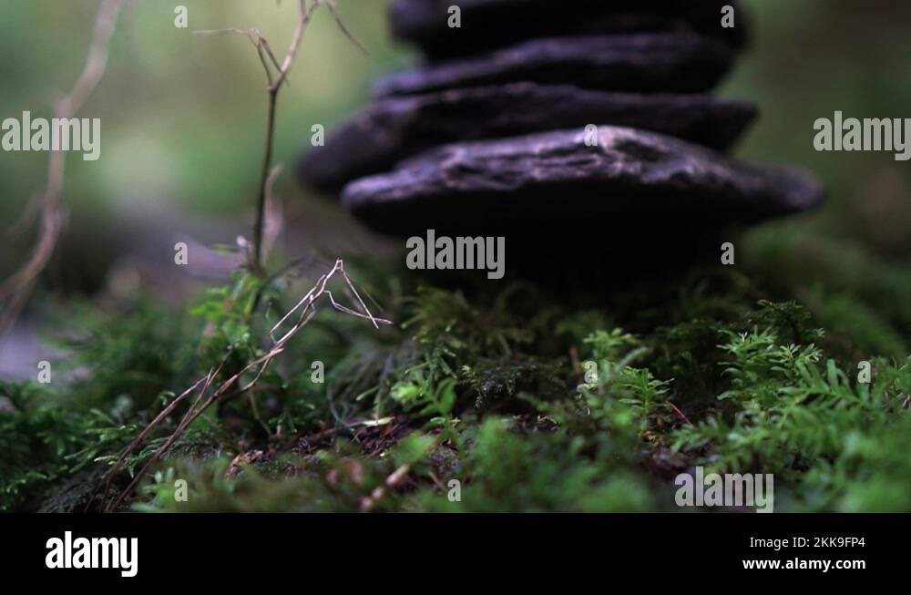 Stack of river stones Stock Videos & Footage - HD and 4K Video Clips ...