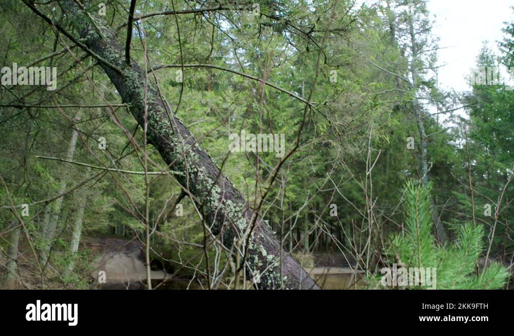 Lean leaning down Stock Videos & Footage - HD and 4K Video Clips - Alamy