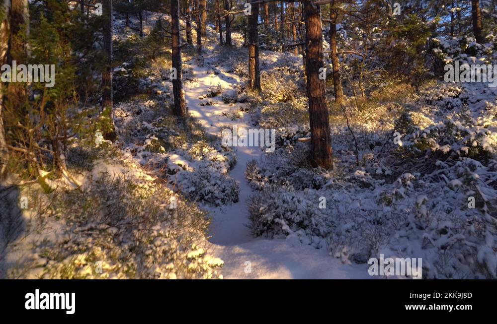 Europe pathway Stock Videos & Footage - HD and 4K Video Clips - Alamy