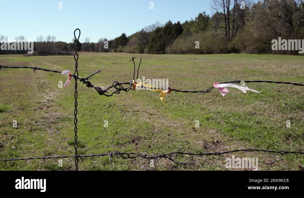 Fencing section Stock Videos & Footage - HD and 4K Video Clips - Alamy