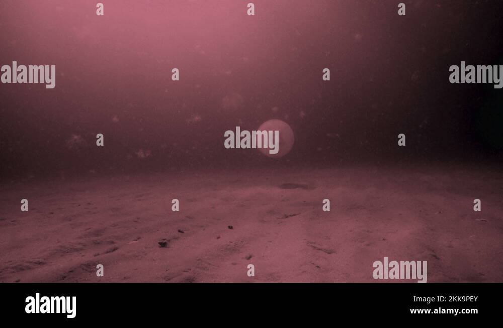 Poor light Stock Videos & Footage - HD and 4K Video Clips - Alamy