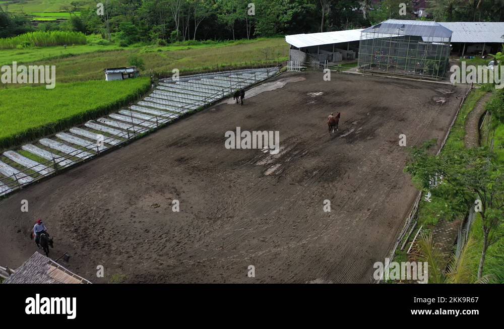 Horse racing yard Stock Videos & Footage - HD and 4K Video Clips - Alamy