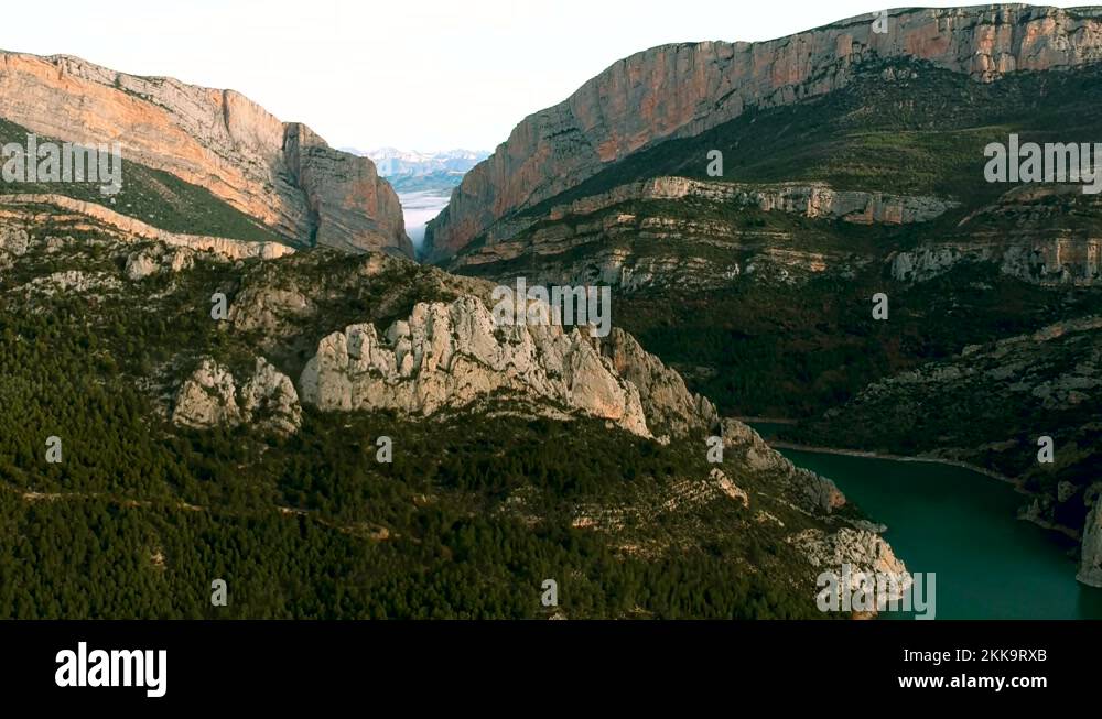 Vegetation cover Stock Videos & Footage - HD and 4K Video Clips - Alamy