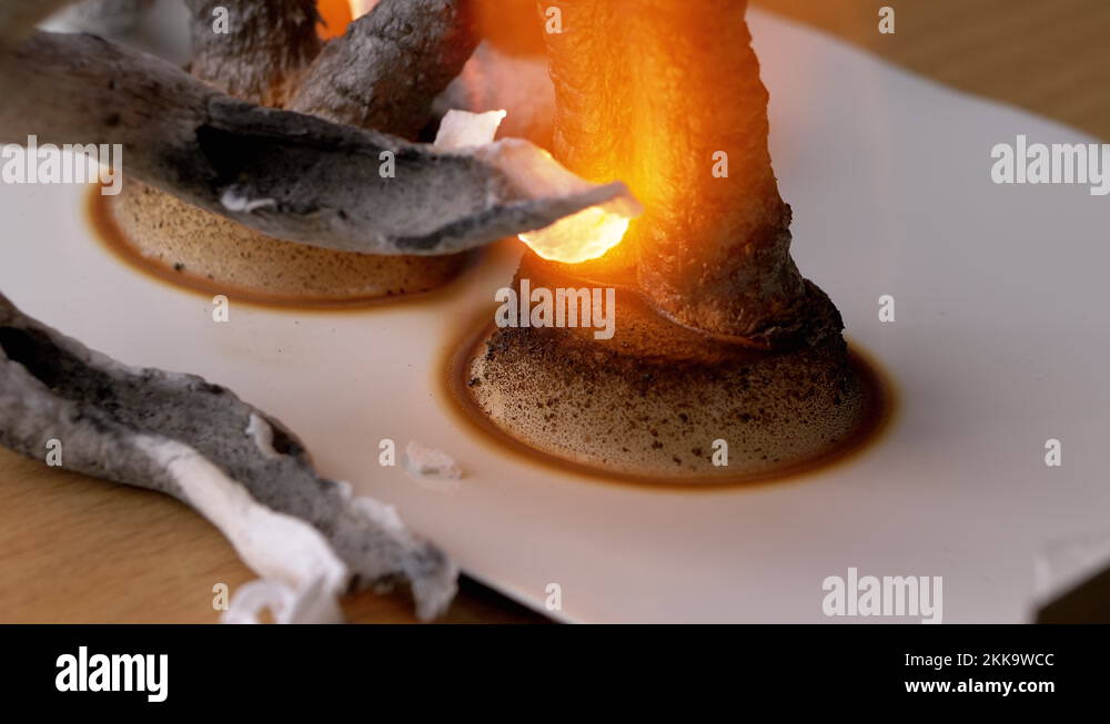 Pharaoh Snakes, Chemical Experiment with Calcium Gluconate Tablets, Dry ...