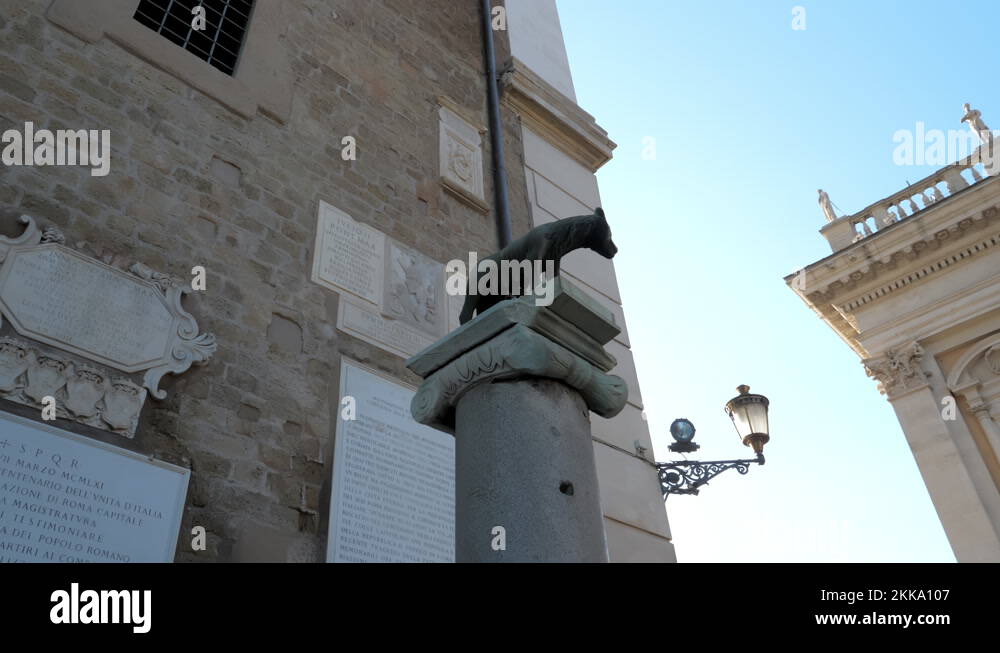 Capitoline she wolf with suckling twins Romulus and Remus is the symbol ...