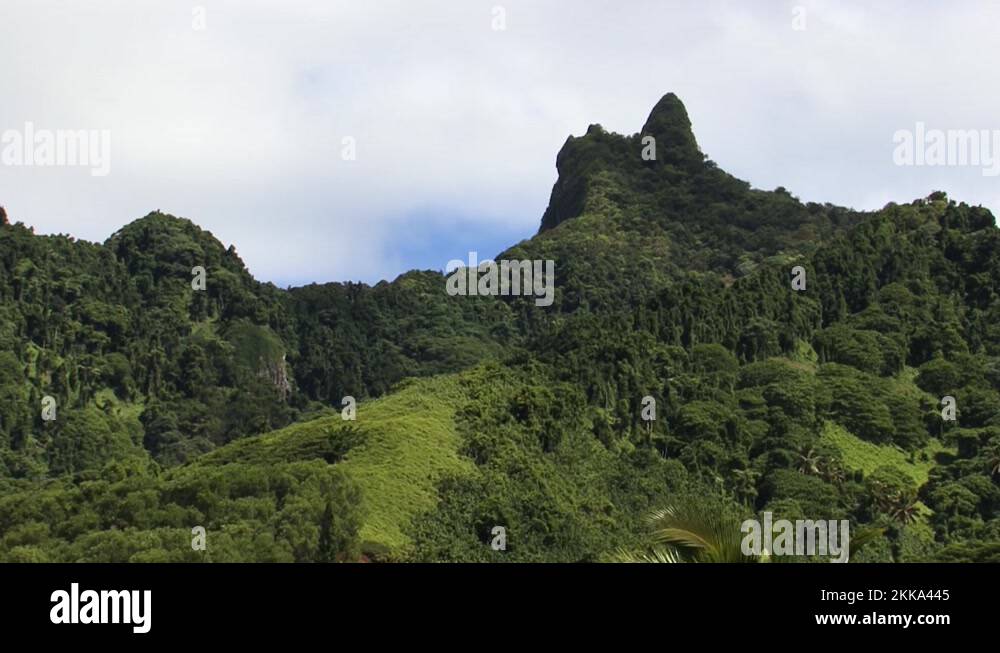 Maunga Roa mountain in Rarotonga, Cook Islands and the rainforest Stock ...
