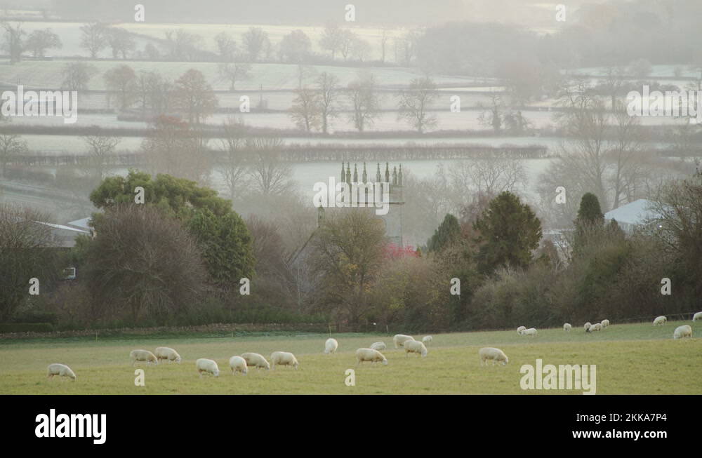 Misty sheep Stock Videos & Footage - HD and 4K Video Clips - Alamy