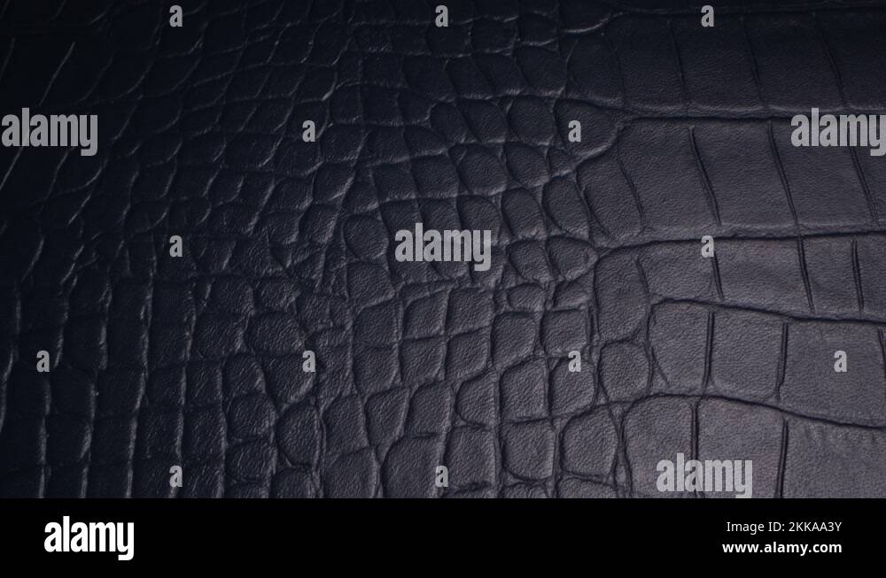 The texture of the black skin of the animal extra close up. Real ...