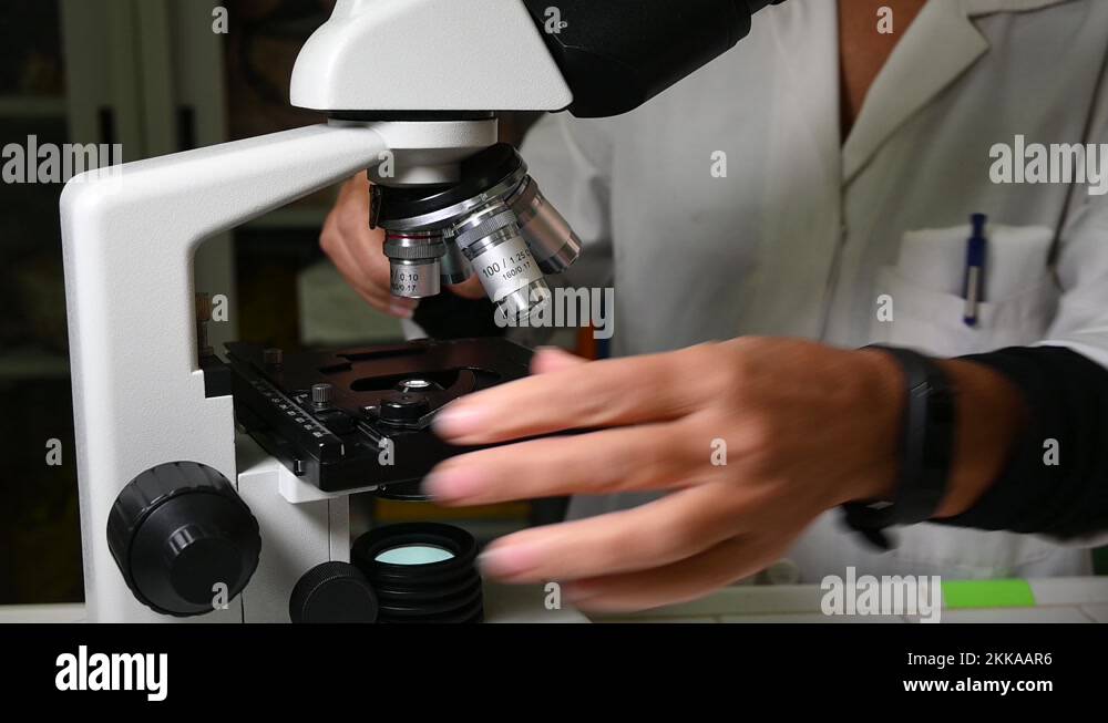 Optical microscope Stock Videos & Footage - HD and 4K Video Clips - Alamy