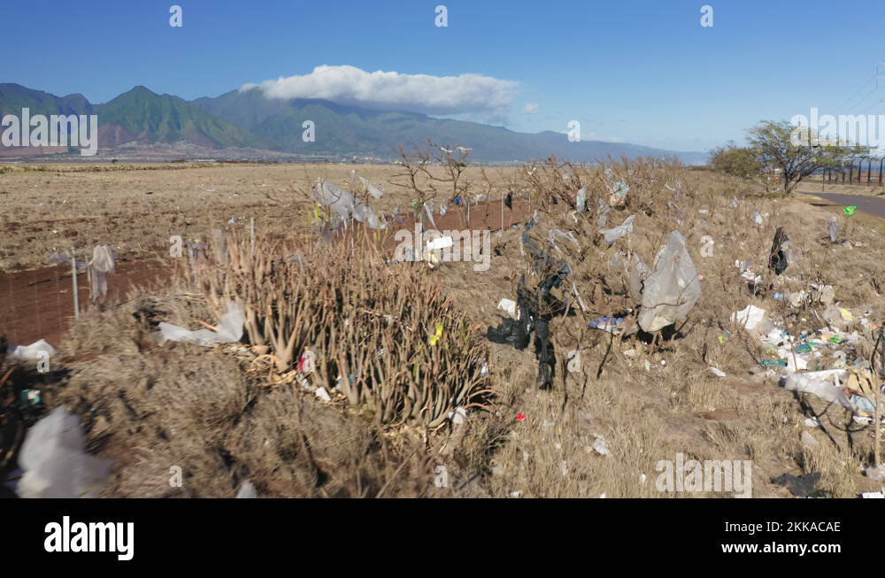 Hawaii nature polluted by the human waste, non-degradable plastic bags ...