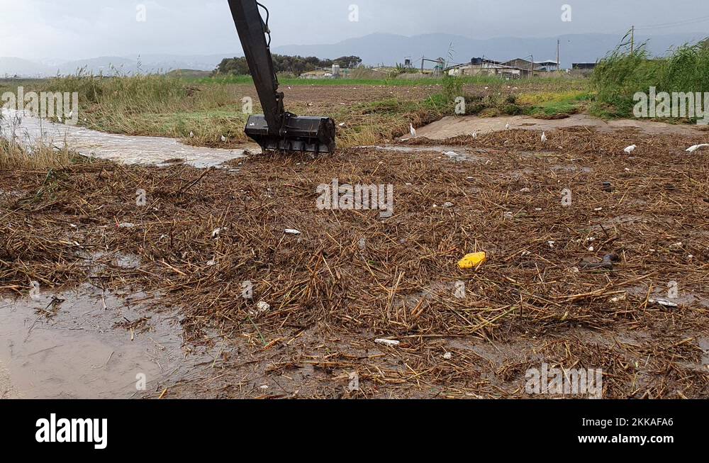 A huge backhoe loader clears twigs and branches for draining a clogged ...