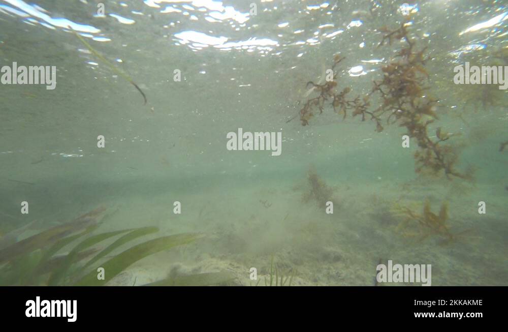 Ocean flow Stock Videos & Footage - HD and 4K Video Clips - Alamy