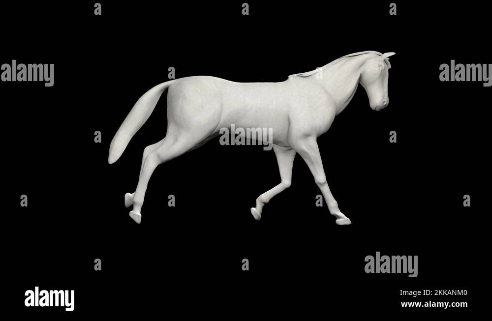 Horse jumping animation silhouette Stock Videos & Footage - HD and 4K ...