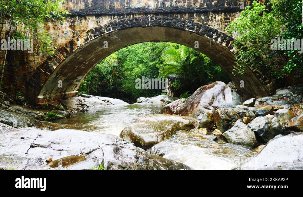 Australia paluma range national park Stock Videos & Footage - HD and 4K ...