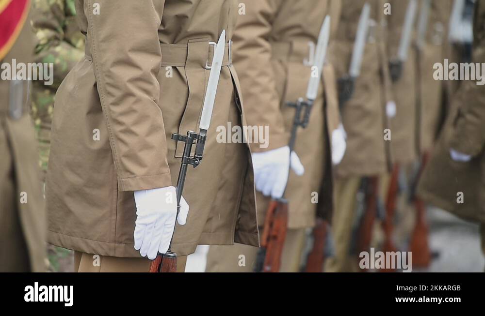 Ceremonial position Stock Videos & Footage - HD and 4K Video Clips - Alamy