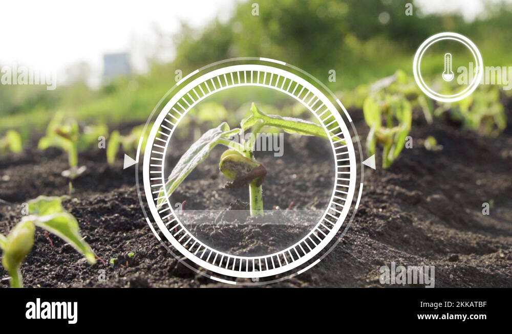 Smart farm technology: plant sprout growing in soil with infographic ...