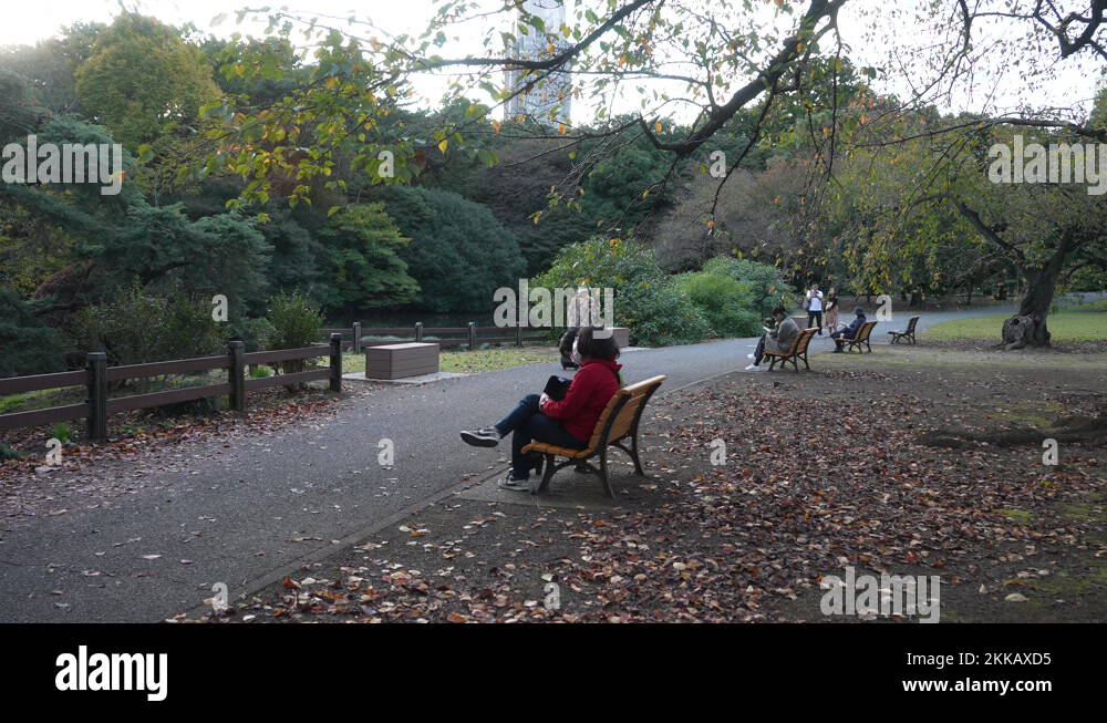 People sitting on park benches Stock Videos & Footage - HD and 4K Video ...