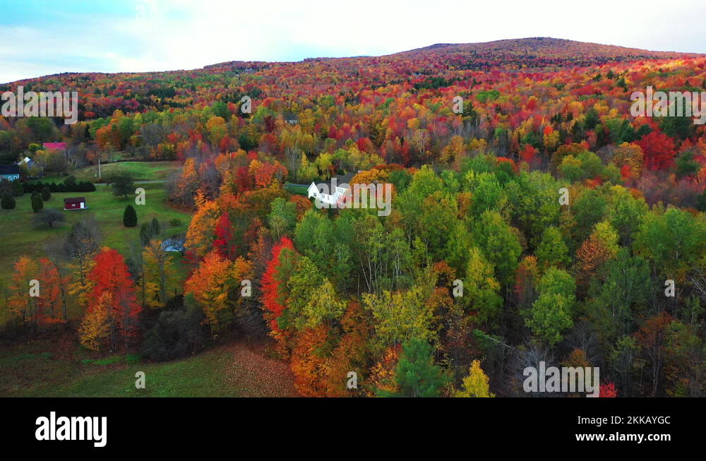 Flashy display Stock Videos & Footage - HD and 4K Video Clips - Alamy