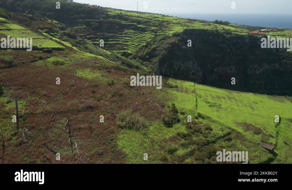 Lush green fields on top of cliffs from Madeira Island, arable volcanic ...