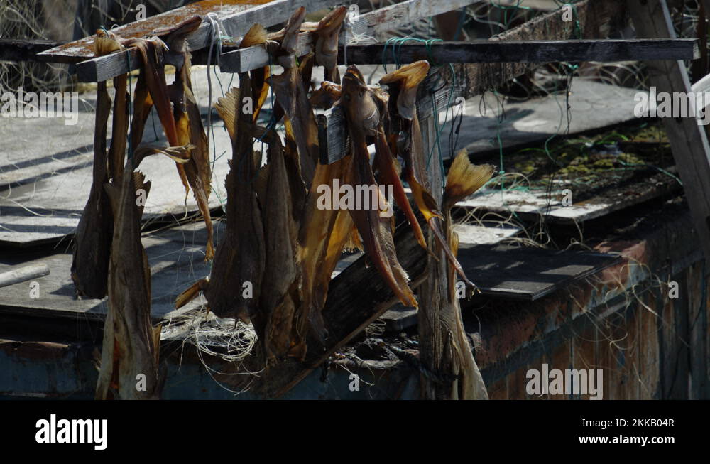 Inuit Stock Videos & Footage - HD and 4K Video Clips - Alamy