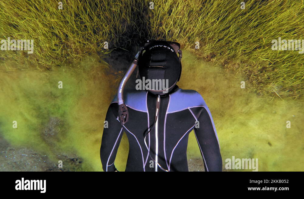 Swimmer silhouette below on swimming Stock Videos & Footage - HD and 4K ...