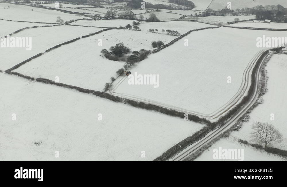 Snow on hedges Stock Videos & Footage - HD and 4K Video Clips - Alamy