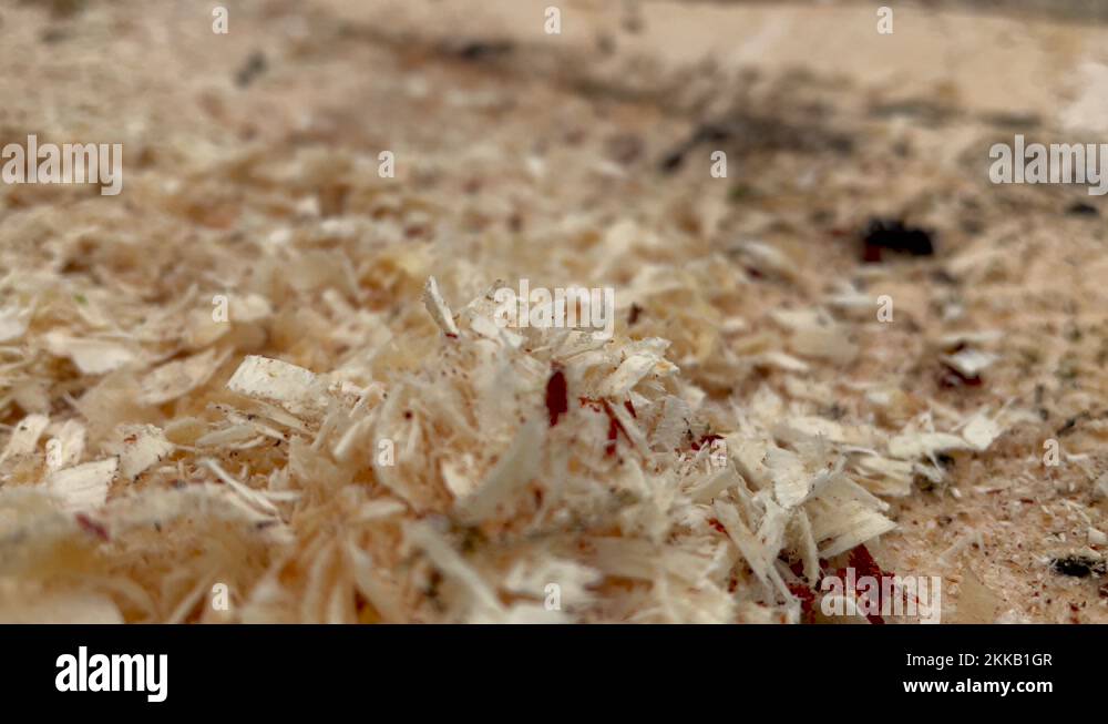Sawdust wood shavings trees Stock Videos & Footage - HD and 4K Video ...