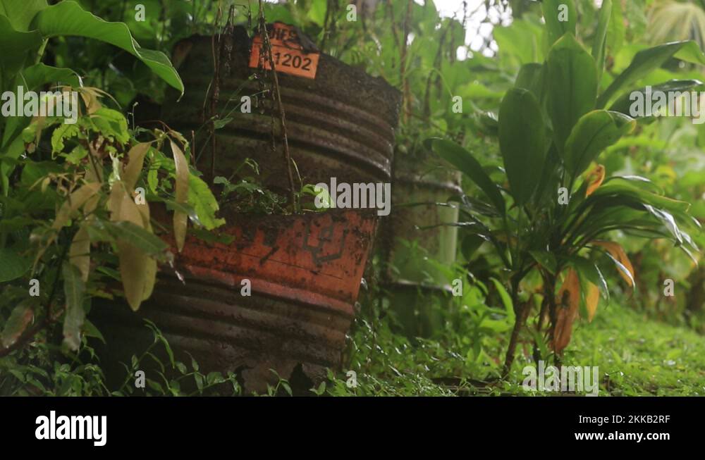 Jungle pollution Stock Videos & Footage - HD and 4K Video Clips - Alamy