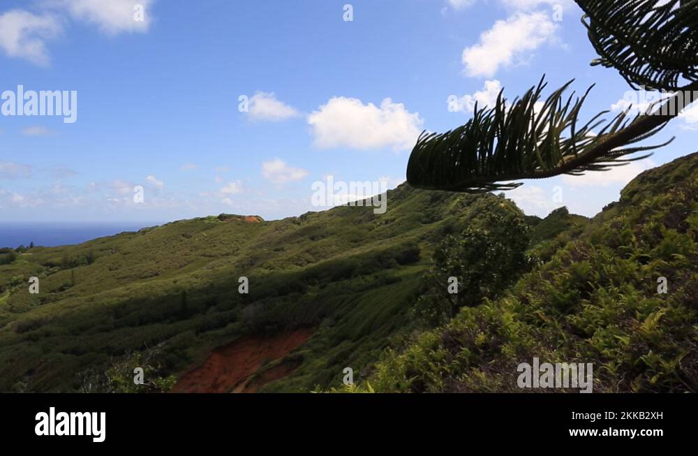 Extreme wind Stock Videos & Footage - HD and 4K Video Clips - Alamy