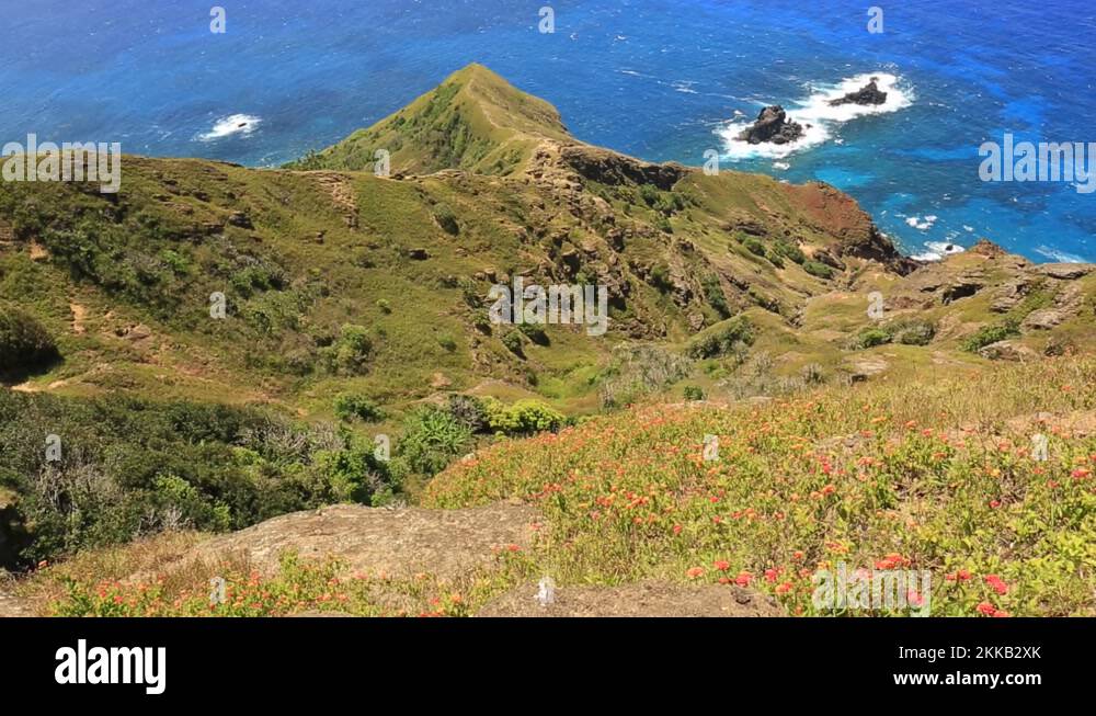 Scary danger Stock Videos & Footage - HD and 4K Video Clips - Alamy