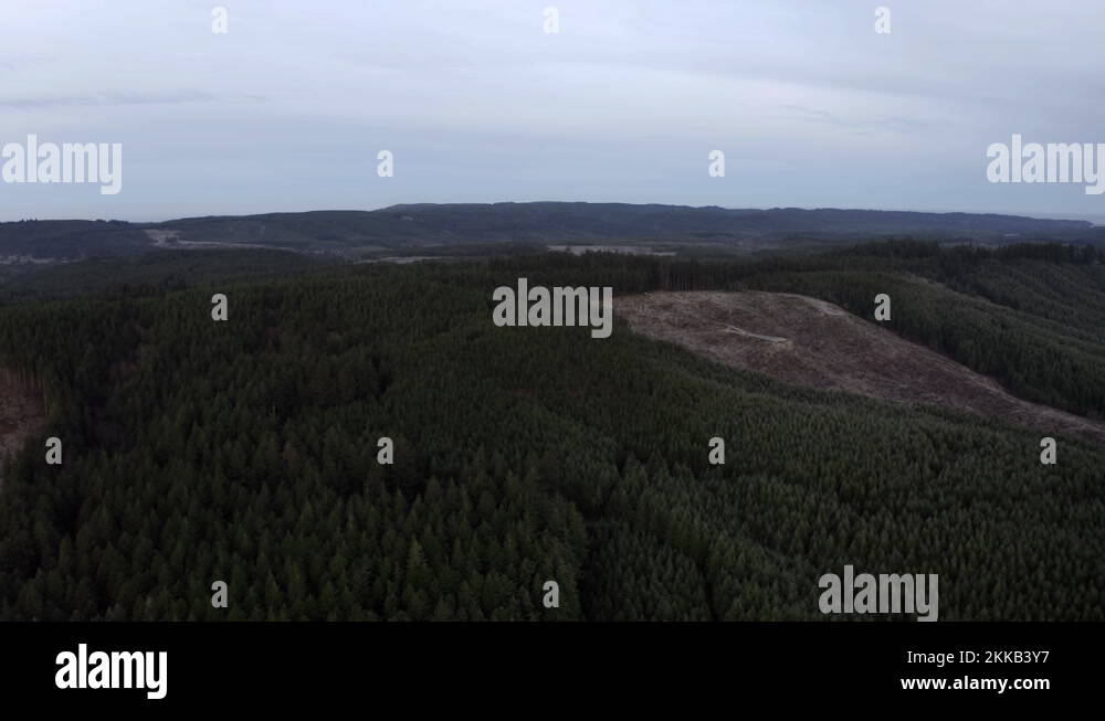 Erosion due deforestation Stock Videos & Footage - HD and 4K Video ...