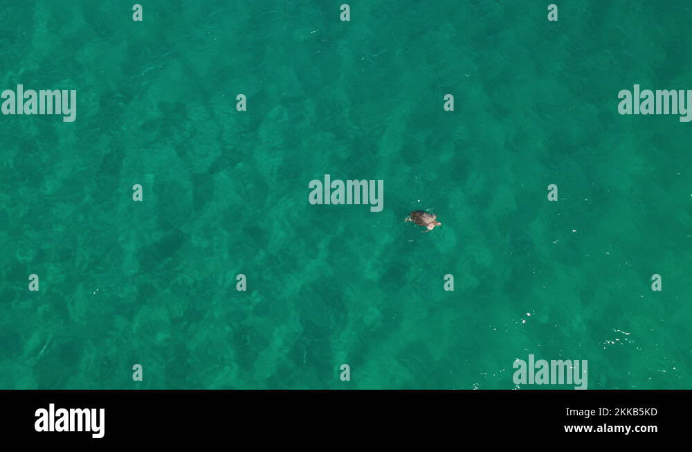 Dead sea top view Stock Videos & Footage - HD and 4K Video Clips - Alamy