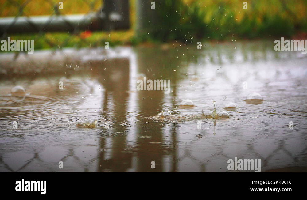 Raindrops falling from the sky and splashing in a backyard puddle by a ...
