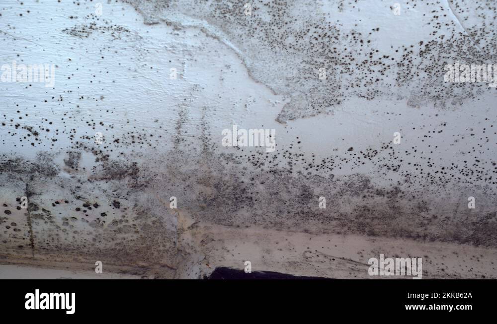 Moisture from walls Stock Videos & Footage - HD and 4K Video Clips - Alamy