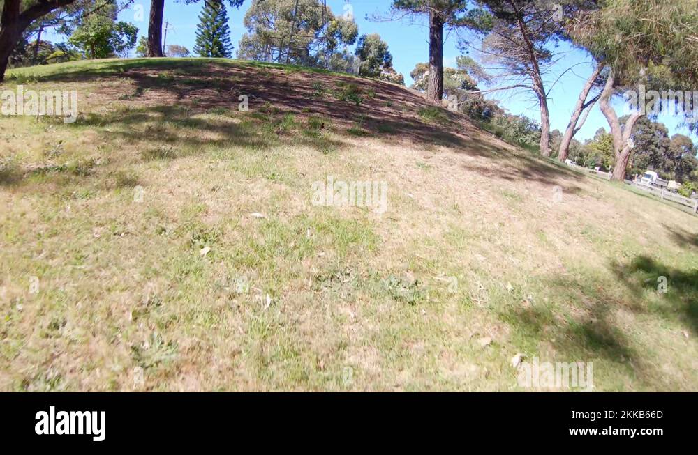 Dynamic Pov Flight Among Trees Revealing Traditional Australian