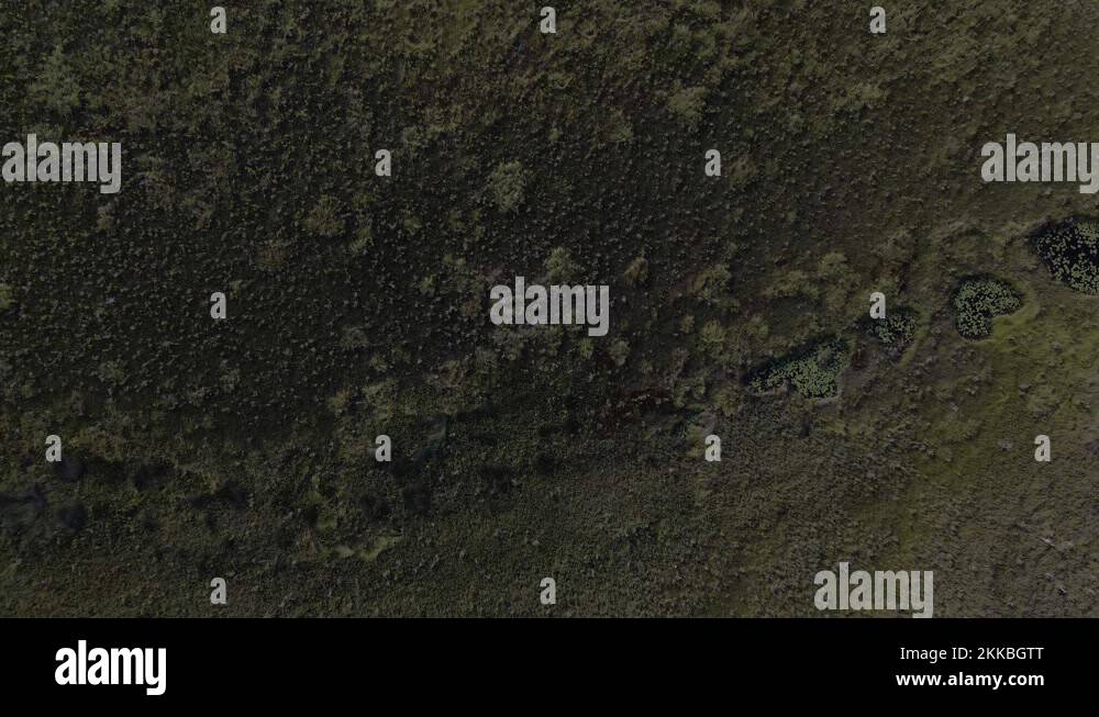 Dark green landscape Stock Videos & Footage - HD and 4K Video Clips - Alamy