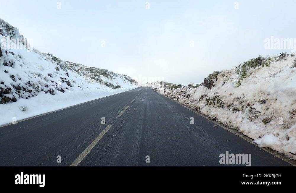 Driver's point of view shot from the car driving in a road amongst the ...