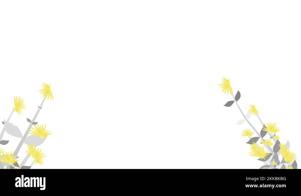 Floral corner design Stock Videos & Footage - HD and 4K Video Clips - Alamy