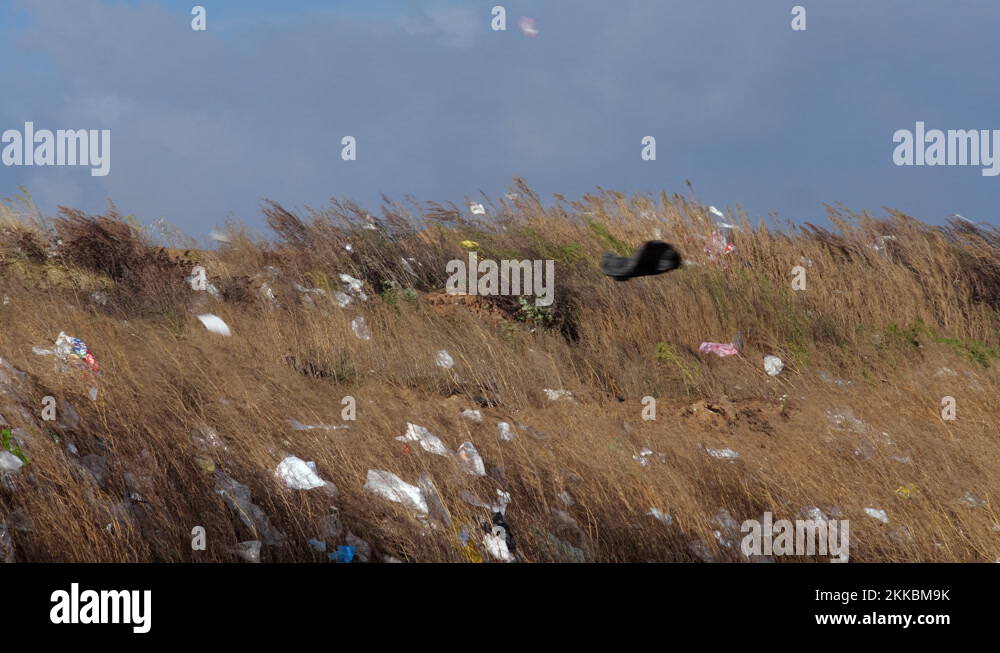 The wind blows plastic bags across the sky. Plastic packaging flutters ...