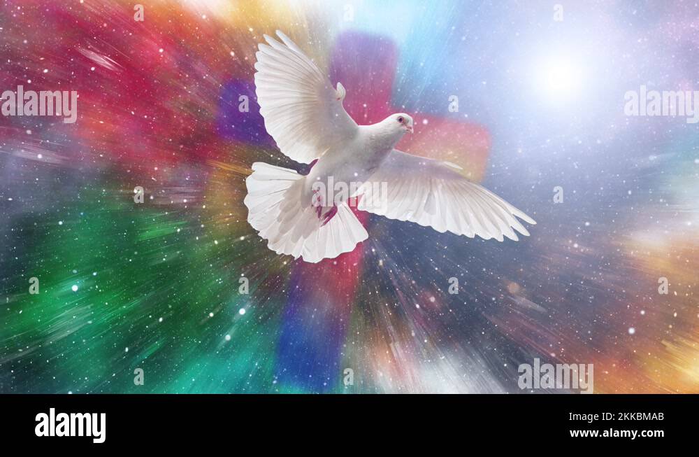Holy spirit as dove in icon Stock Videos & Footage - HD and 4K Video ...