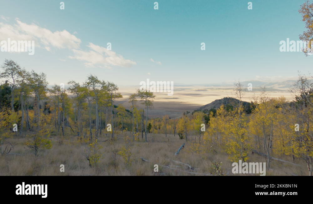 Trees turning colors in fall Stock Videos & Footage - HD and 4K Video ...