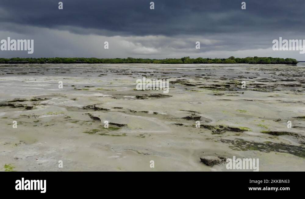Shallow shelf Stock Videos & Footage - HD and 4K Video Clips - Alamy