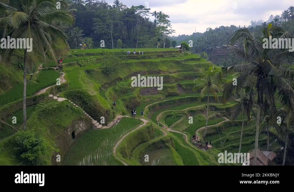 Bali landscapes Stock Videos & Footage - HD and 4K Video Clips - Alamy